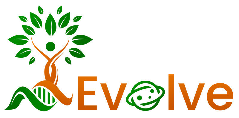 Home v1 – e-iEvolve